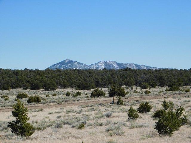 Artesian Ave Lot 81, Quemado, NM 87829