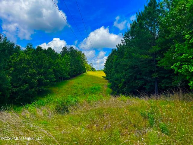 Arthur Drive, Brookhaven, MS 39601