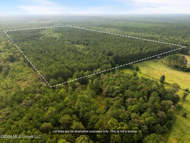 Arthur Lowe Road, Lumberton, MS 39455