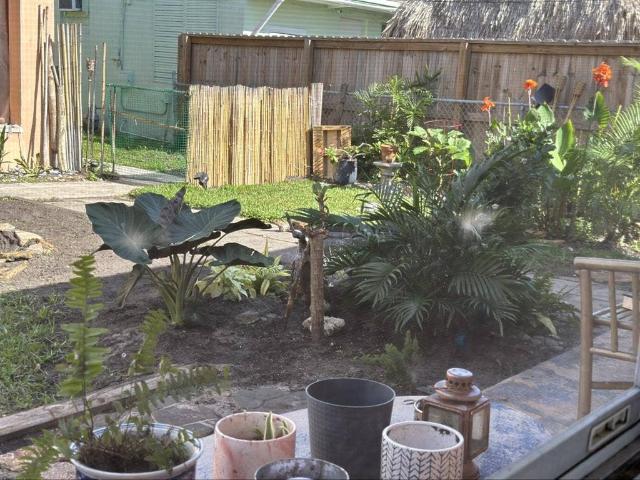 Artsy home animals  peace serene