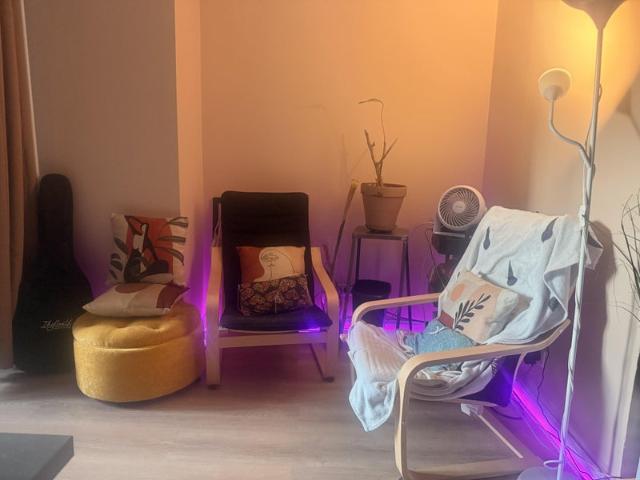 Artsy household with resident Cat!