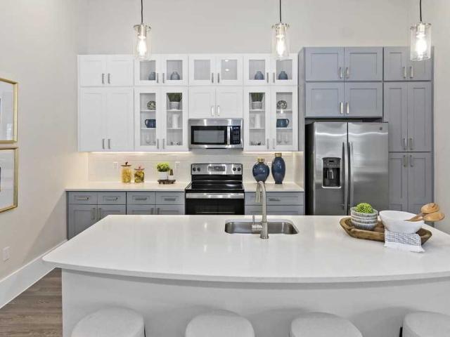 Arya at Windermere 55+ 2 Bedroom Apartment for Rent at 1231 Arya Way, Ocoee, FL 34761 Villages Of Wesmere