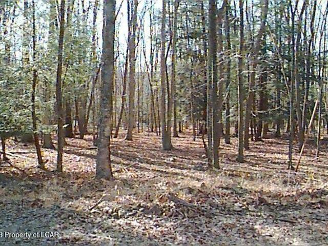 Aw Arapahoe Ln Lot 114, Hazleton, PA 18202