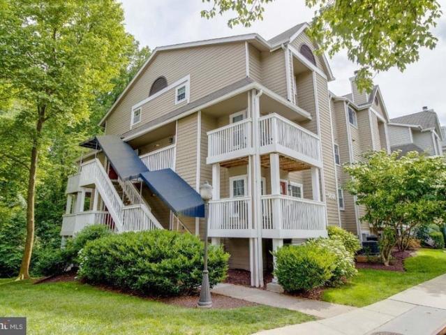 Awesome Condo for Rent