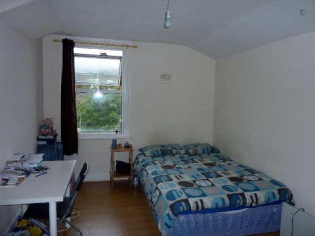 Awesome double bedroom near Tottenham Hale Retail Park Has a Room