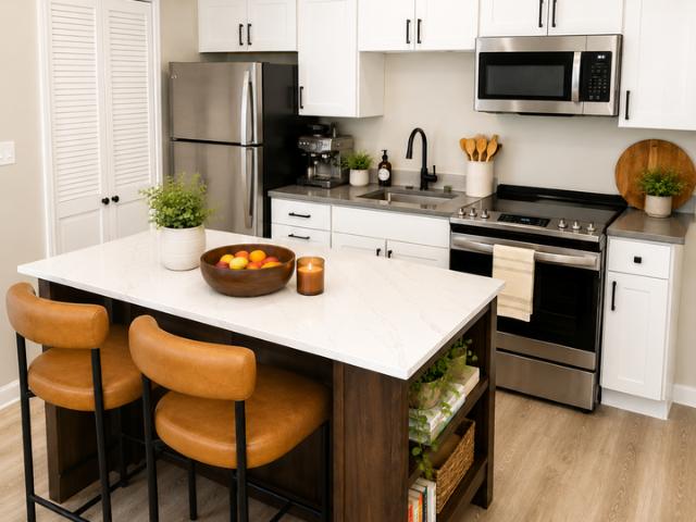 Awesome Lincoln Park 1 bed Updated Apartment with New Kitchen and bath plus In Unit Washer/Dryer!