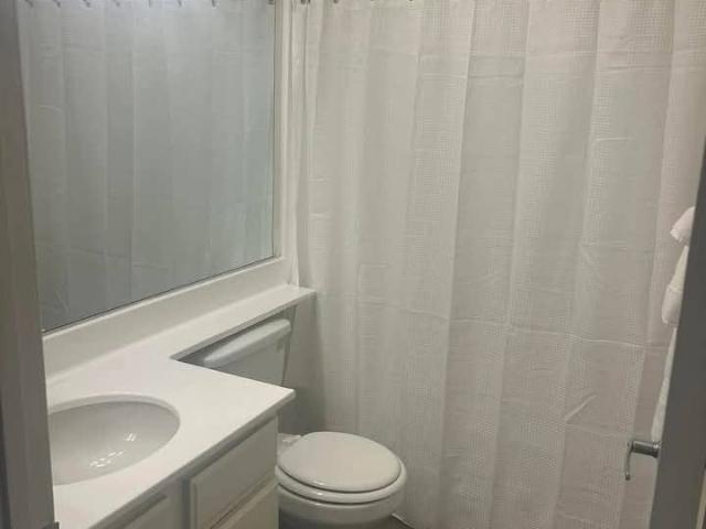 Awesome Roommate Wanted