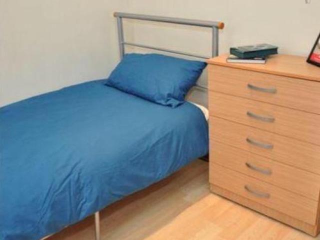 Awesome single bedroom not far from Leytonstone tube station Has a Room