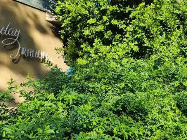Awesome 1BR is calling your name STUDIO CITY 11940 Laurelwood.