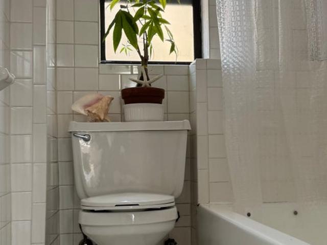 Awsome Peaceful Room, Private Bathroom, OK Pets