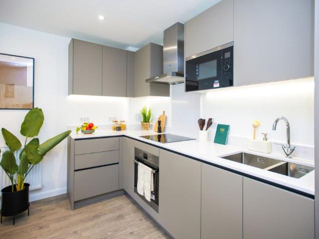 at The Parklands, The Parklands. Studio to rent £1,520 pcm £351 pw