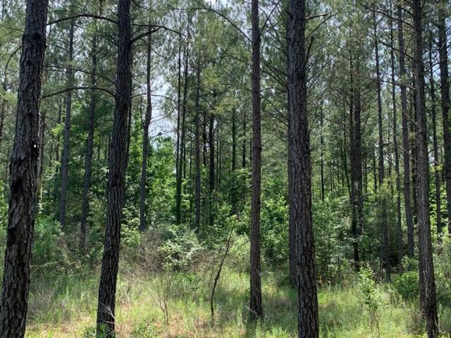 Athens Trail Ne/ Timberlane Rd Ne