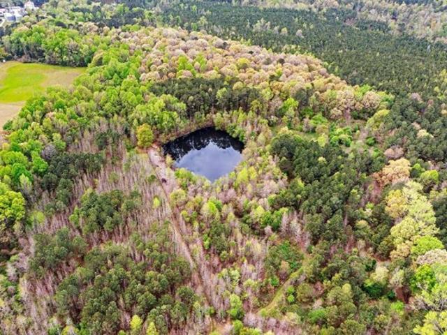Atkinson Mill Rd, Selma, Plot For Sale