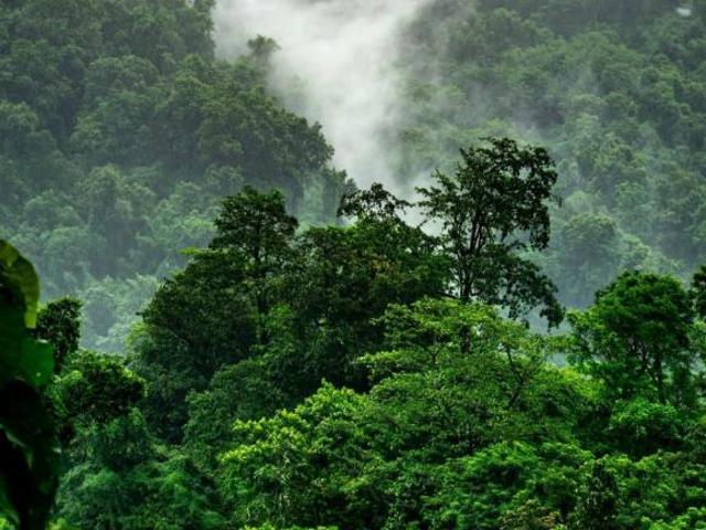 ATLAN — Viva o Melhor do Água Verde