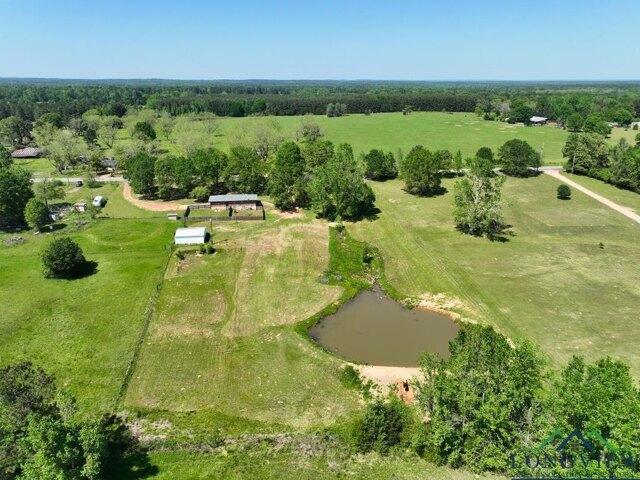 Atlanta TX 75551 LS93897304