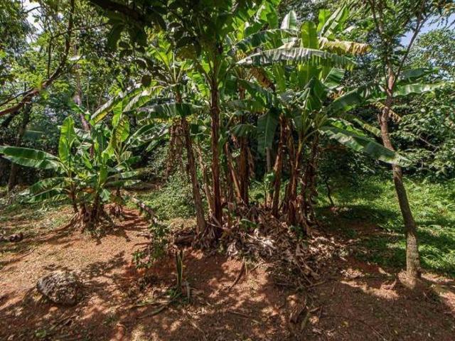 Elegante casa para venda em City América com 4 quartos, sendo 2 suítes, 560m² remaxmamede#A5KLZ