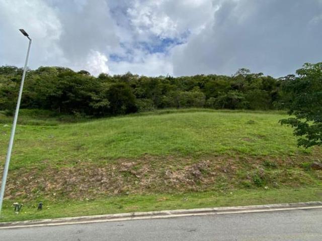 Elegante lote em condomínio para venda em Aldeia Da Serra, 420m²
