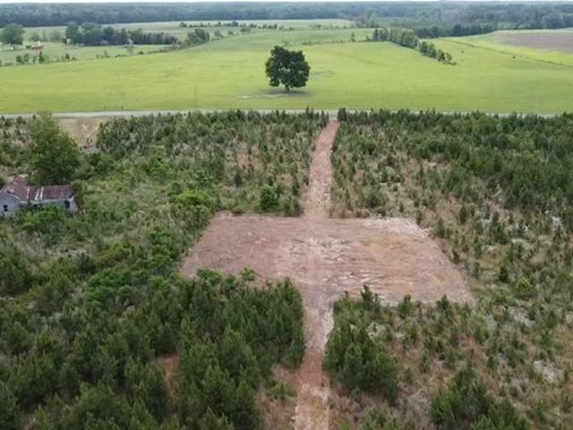 Attadale Rd Lot 2, Blenheim, SC 29516