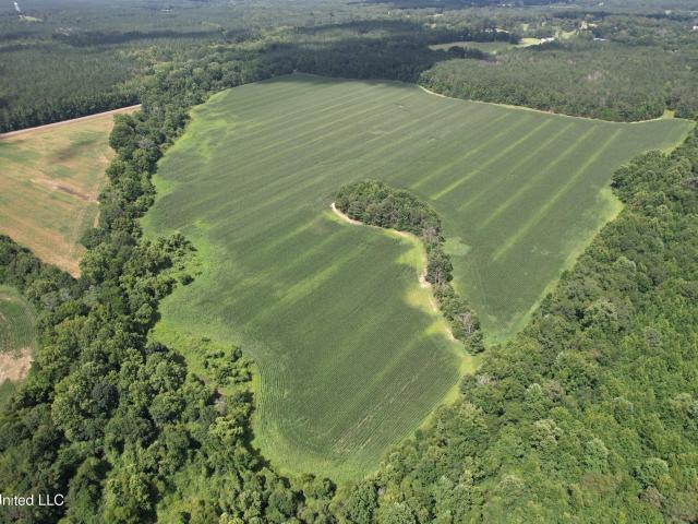 Attala Road 4110, Sallis, MS 39160