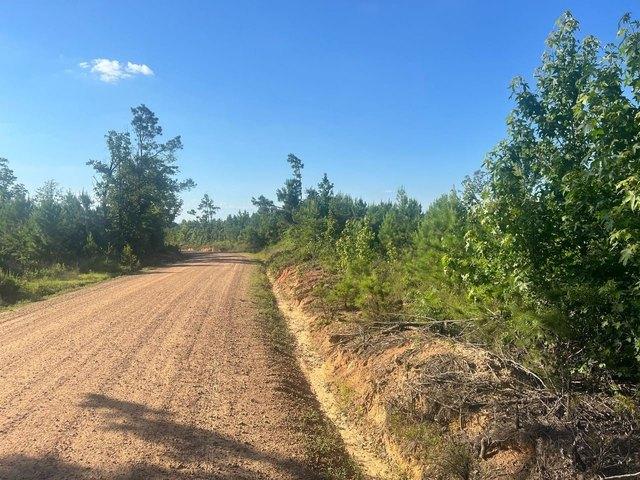 Attala Rd # 4033, Kosciusko, MS 39090