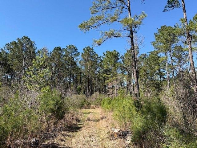 Attala Rd # 4213, Sallis, MS 39160