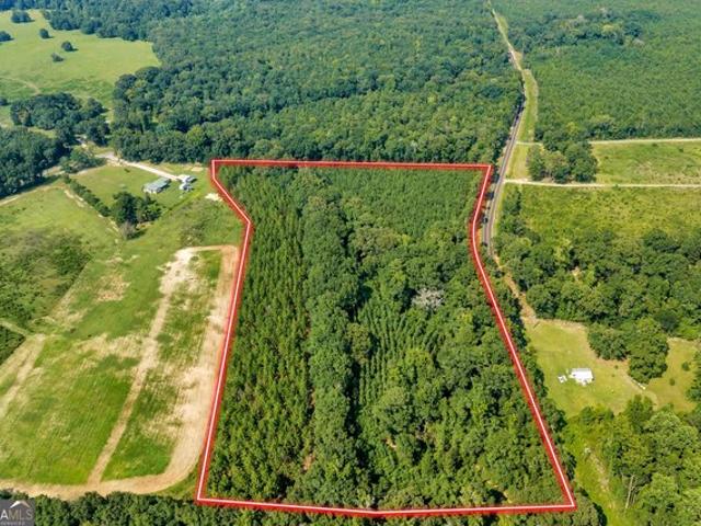 Atwell Rd Lot C, Danville, GA 31017