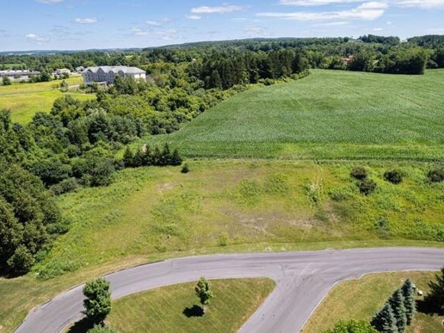 Atwell Rdg Lot,cazenovia, Plot For Sale