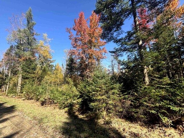 Atwood Rd Lot,brighton, Plot For Sale