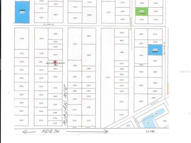 Auburn Ave, New Smyrna Beach, FL 32168