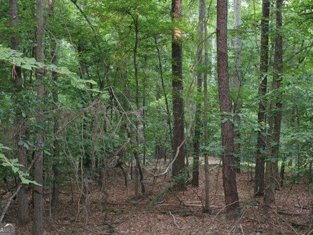 Auburn GA 30011 104899832