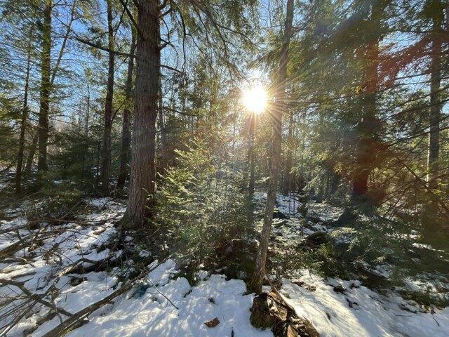 Auburn ME 04210 LS93960636