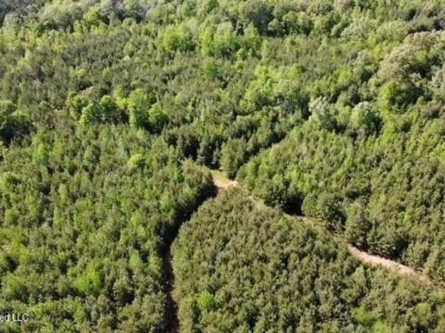 Auburn St Lot 0, Bogue Chitto, MS 39629