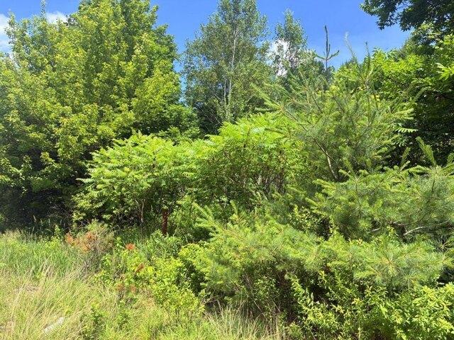Auburn Rd Lot,peru, Plot For Sale