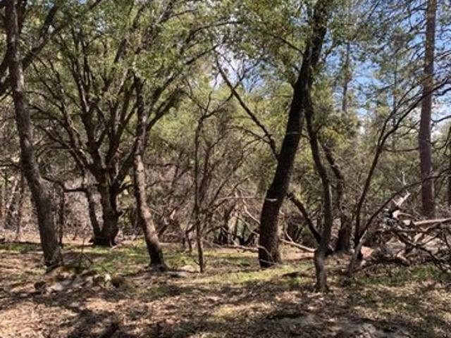 Auberry Rd, Auberry, CA 93602