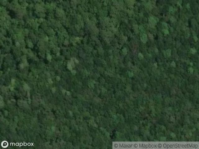 Aucilla Plantation Ct
