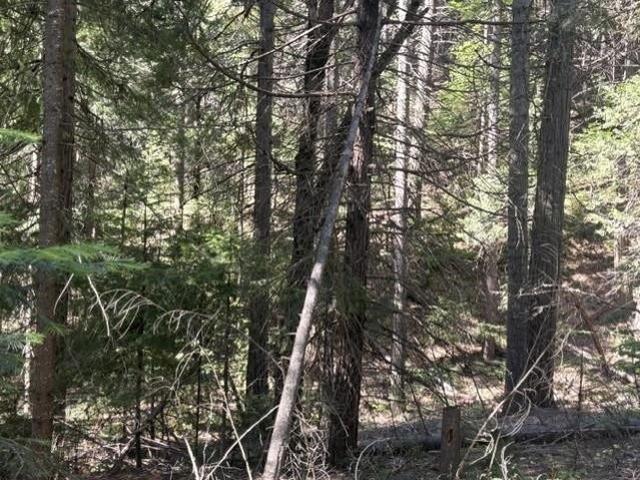 Audubon Lot 9, Mount Shasta, CA 96067