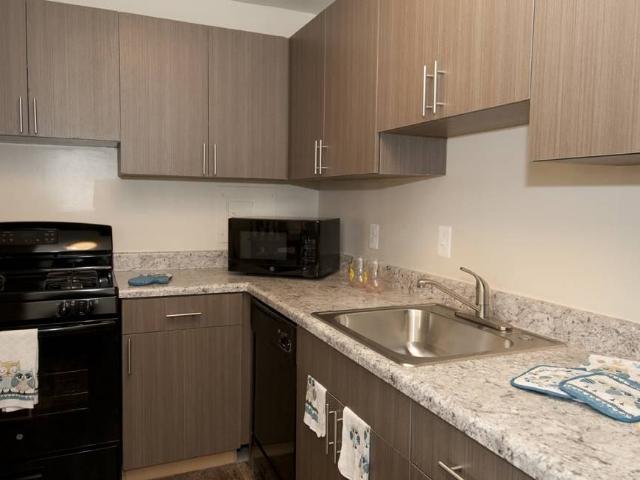 Auden Place 1 Bedroom Apartment for Rent at 12633 Georgia Ave, Glenmont, MD 20906 Wheaton Glenmont