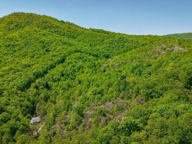 Audrey Ln Blue Rdg, Blue Ridge, VA 24064