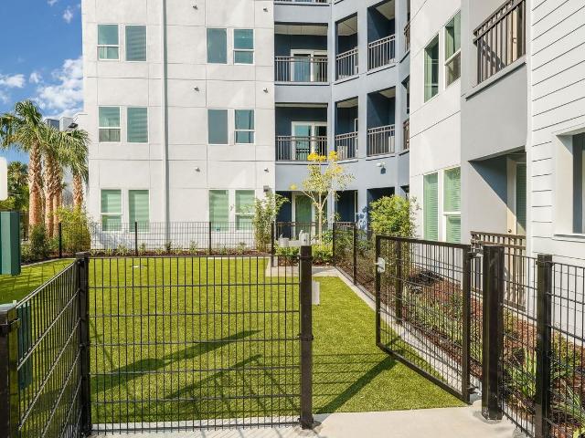 Aurora Studio Apartment for Rent at 124 S Morgan St, Tampa, FL 33602 Downtown Tampa