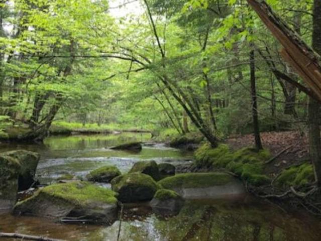 Austin St, Westbrook, Plot For Sale