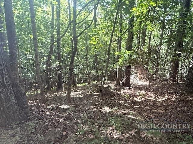 Austin Taylor Rd, Fleetwood, NC 28626