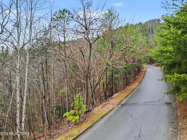 Autumn Ridge Way, Sevierville, TN 37876