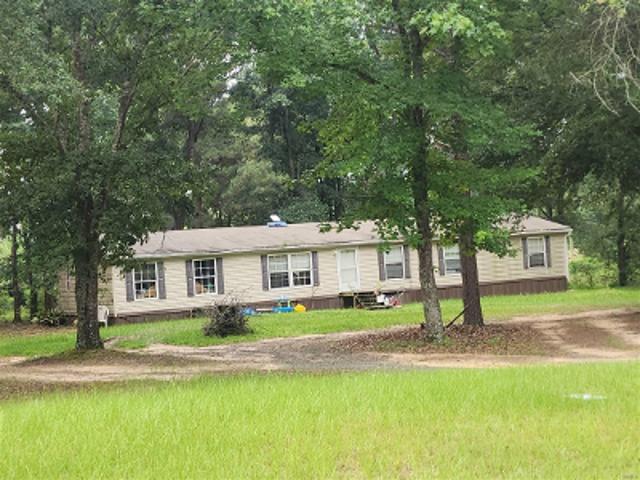 Autumn Wood Cir