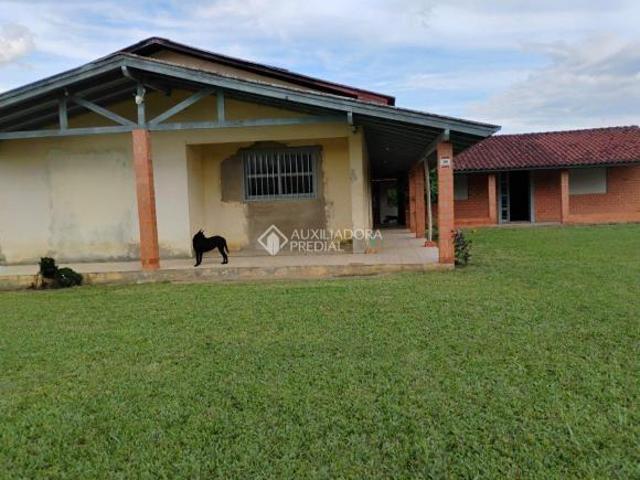 AUXILIADORA PREDIAL VENDE EXCELENTE SÍTIO COM 6,5HS EM TRIUNFO!