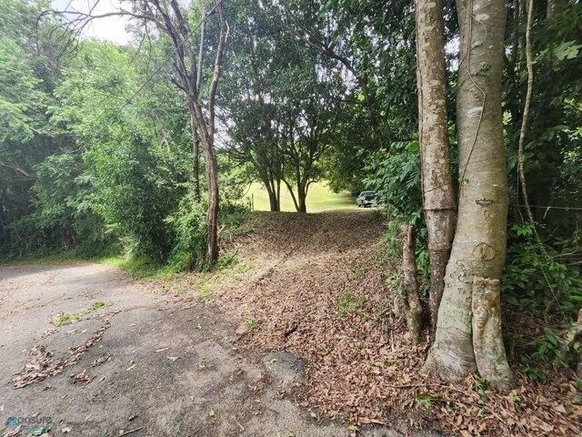 Av Camino Flor Millan, San German, Plot For Sale