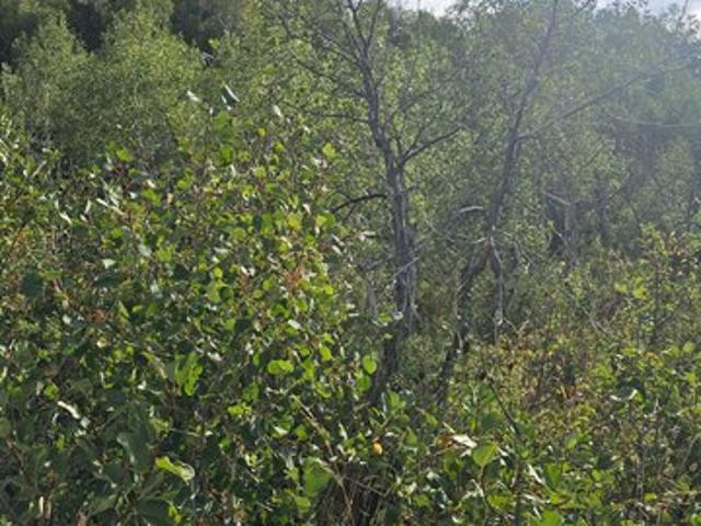 Avon, UT 84328