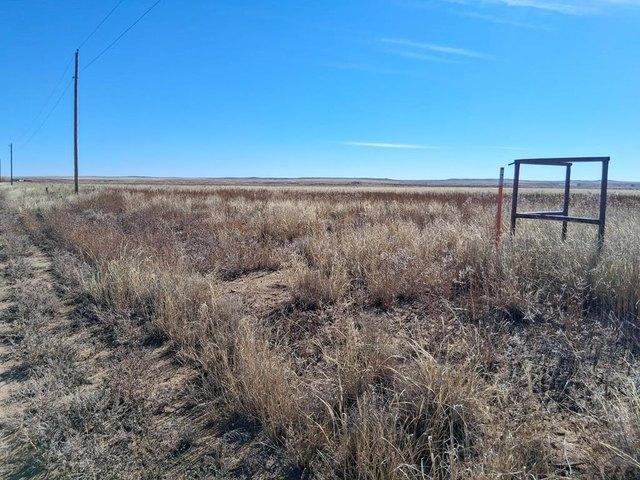 Avondale, CO 81022