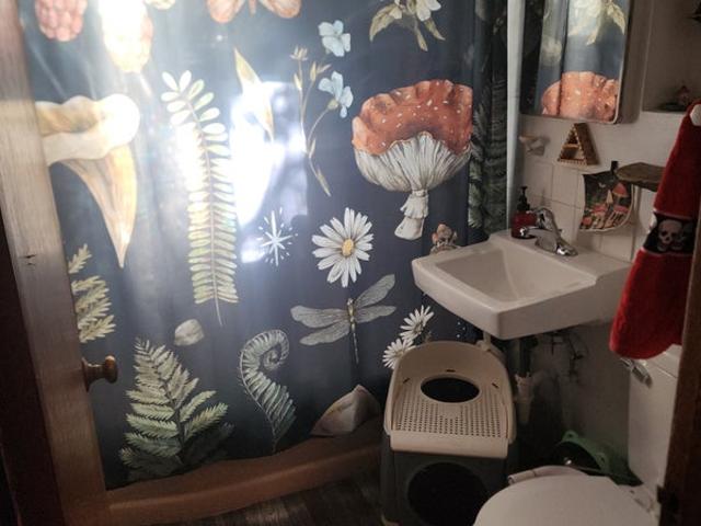 Available in late summ Single room in 2bed/ 1bath