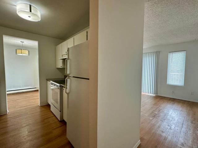 Avalon Apartments
