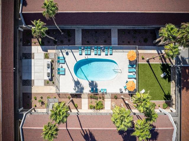 Avani North Tucson Studio Apartment for Rent at 2660 N Alvernon Way, Tucson, AZ 85712 Oak Flower